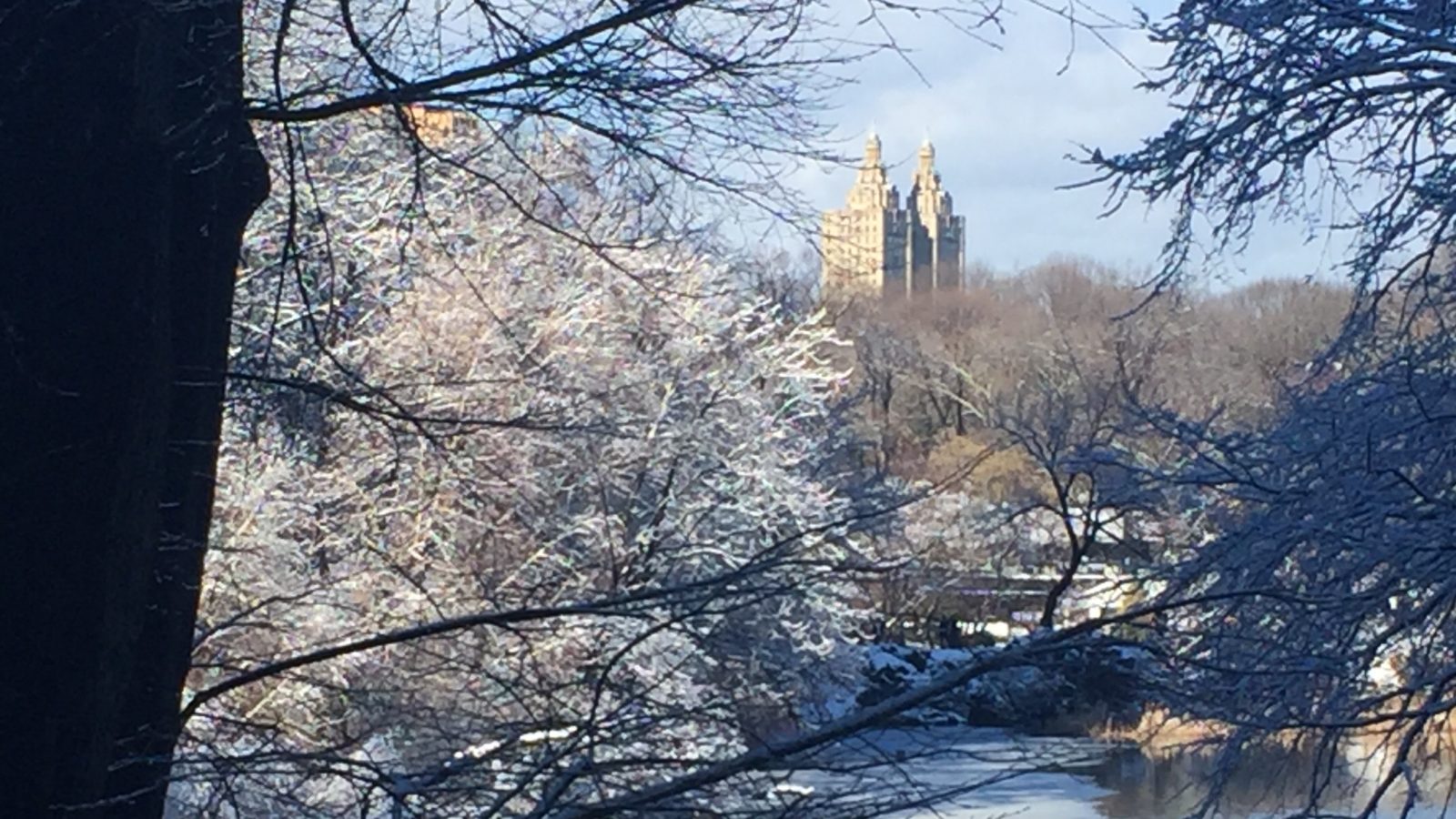 Eleven things I learned at LegalTech in New York City | Real Lawyers ...